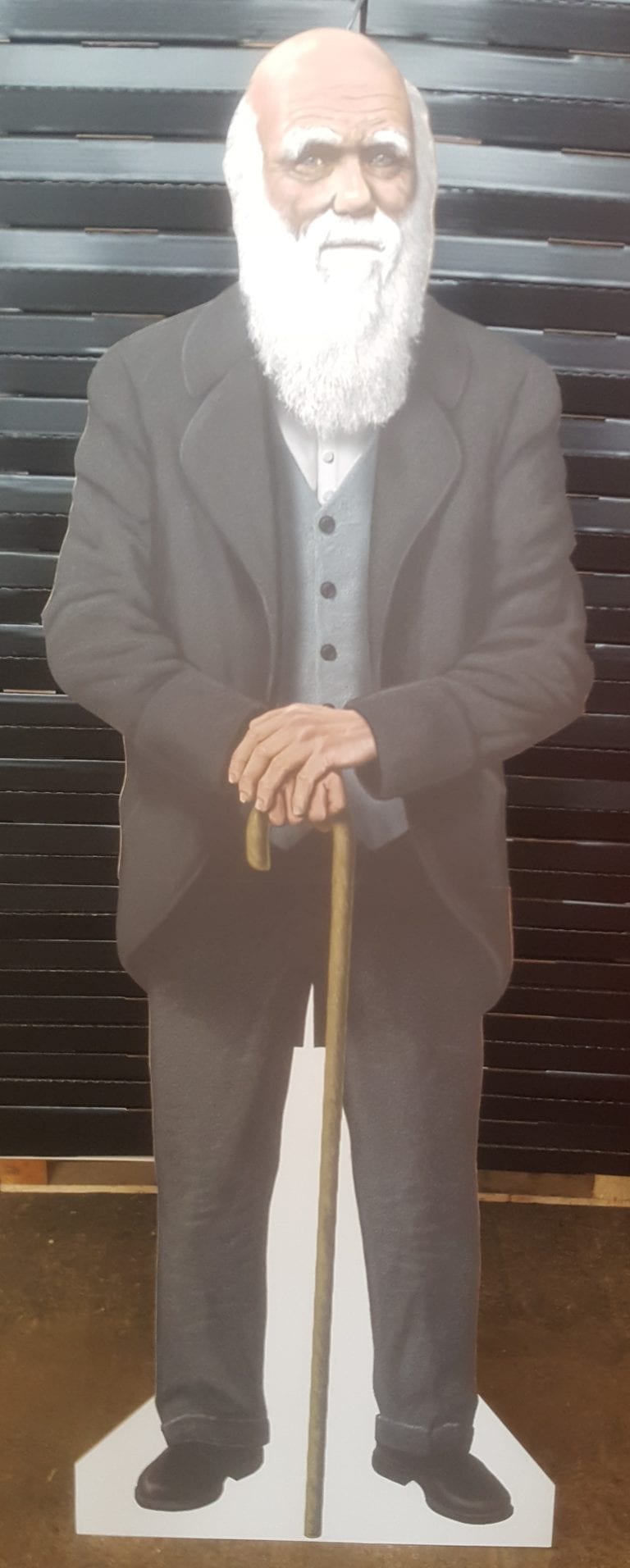 The Cardboard Cutout Company | Personalised Cardboard Cutouts